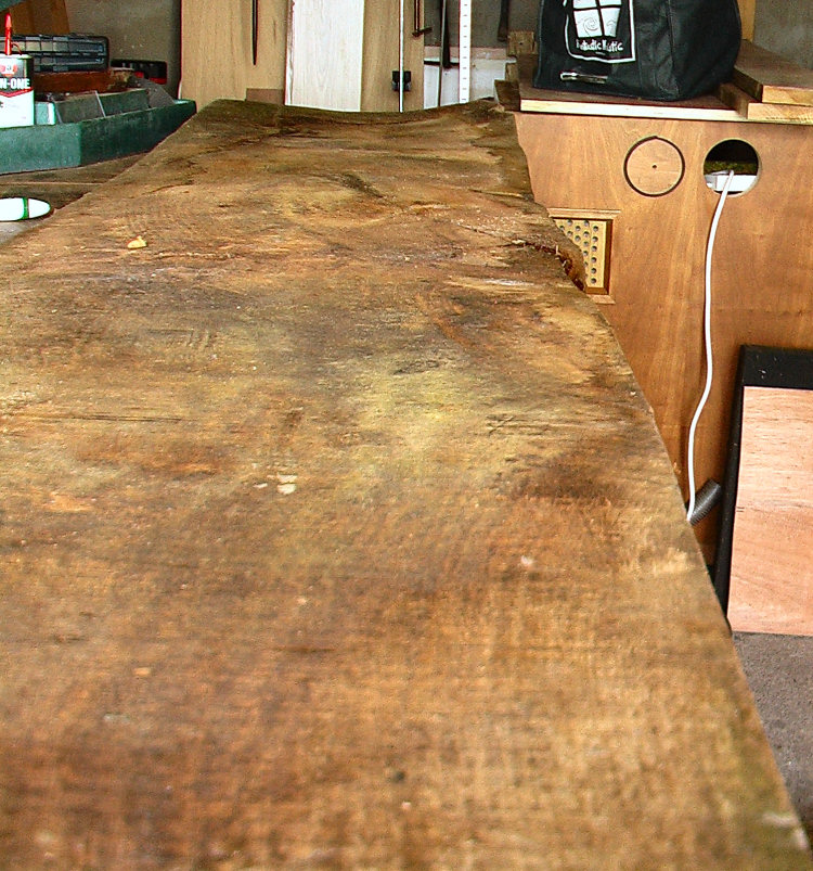 Flowering Elbow » Blog Archive » From humble beginnings…
